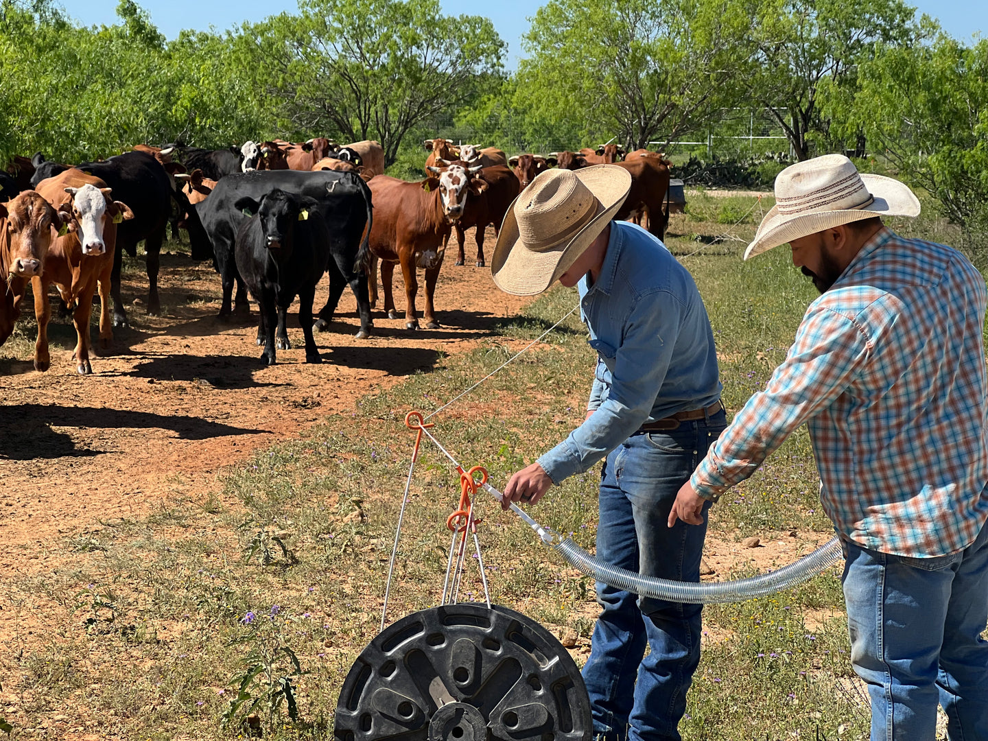 Electric Fencing Supplies for Farms & Ranches | Powerflex